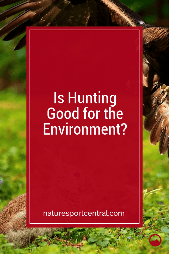 Is Hunting Good for the Environment?