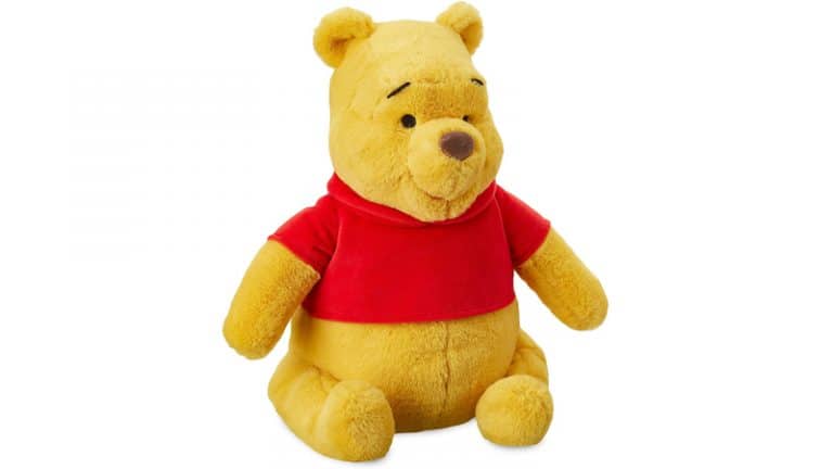 Top 7 Famous Bears