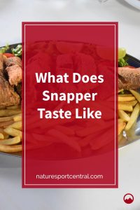 What Does Snapper Taste Like