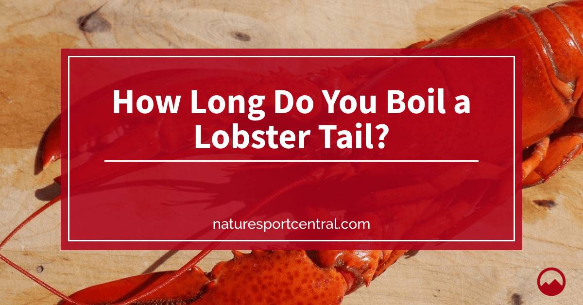 How Long Do You Boil a Lobster Tail?
