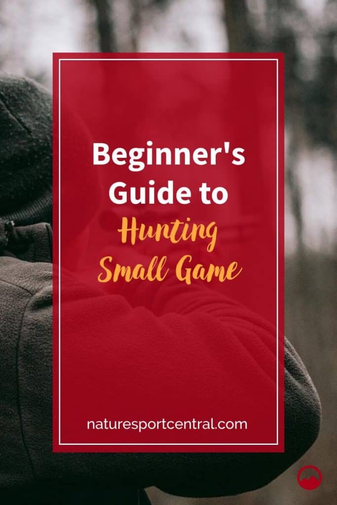 Beginner's Guide to Hunting Small Game