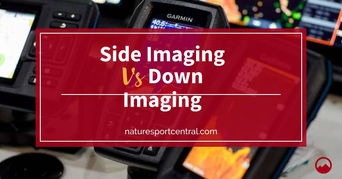 Side Imaging Vs Down Imaging