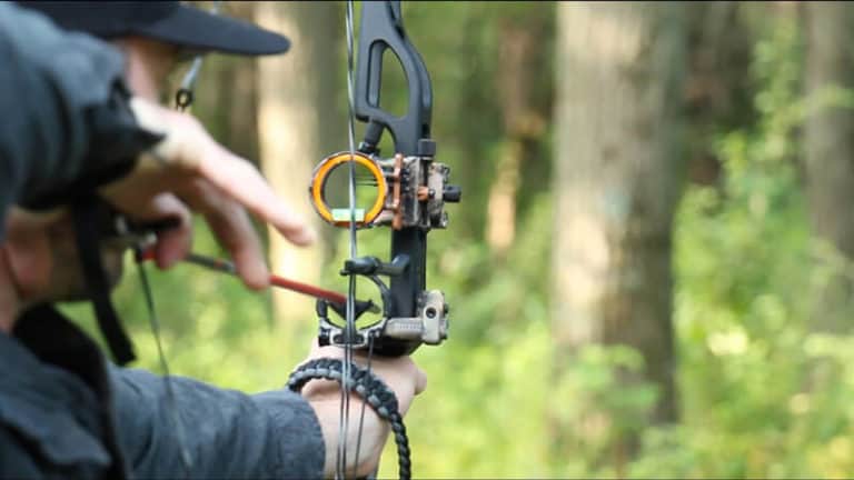 When Do Bow Sights Work Best
