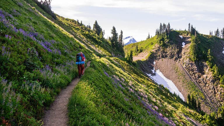 Best Time To Visit Olympic National Park