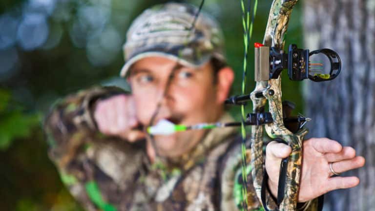 What Group Sets Hunting Regulations In Most States