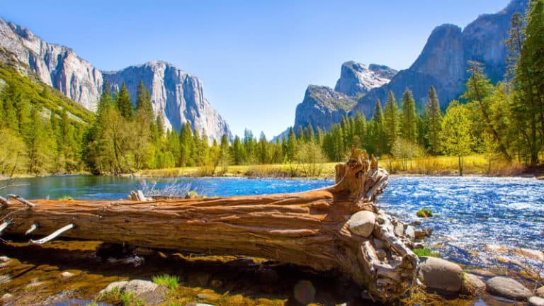 Best Time To Visit Sequoia National Park