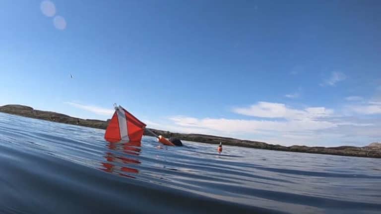 Red Flag With Diagonal White Stripe - What Does It Mean?